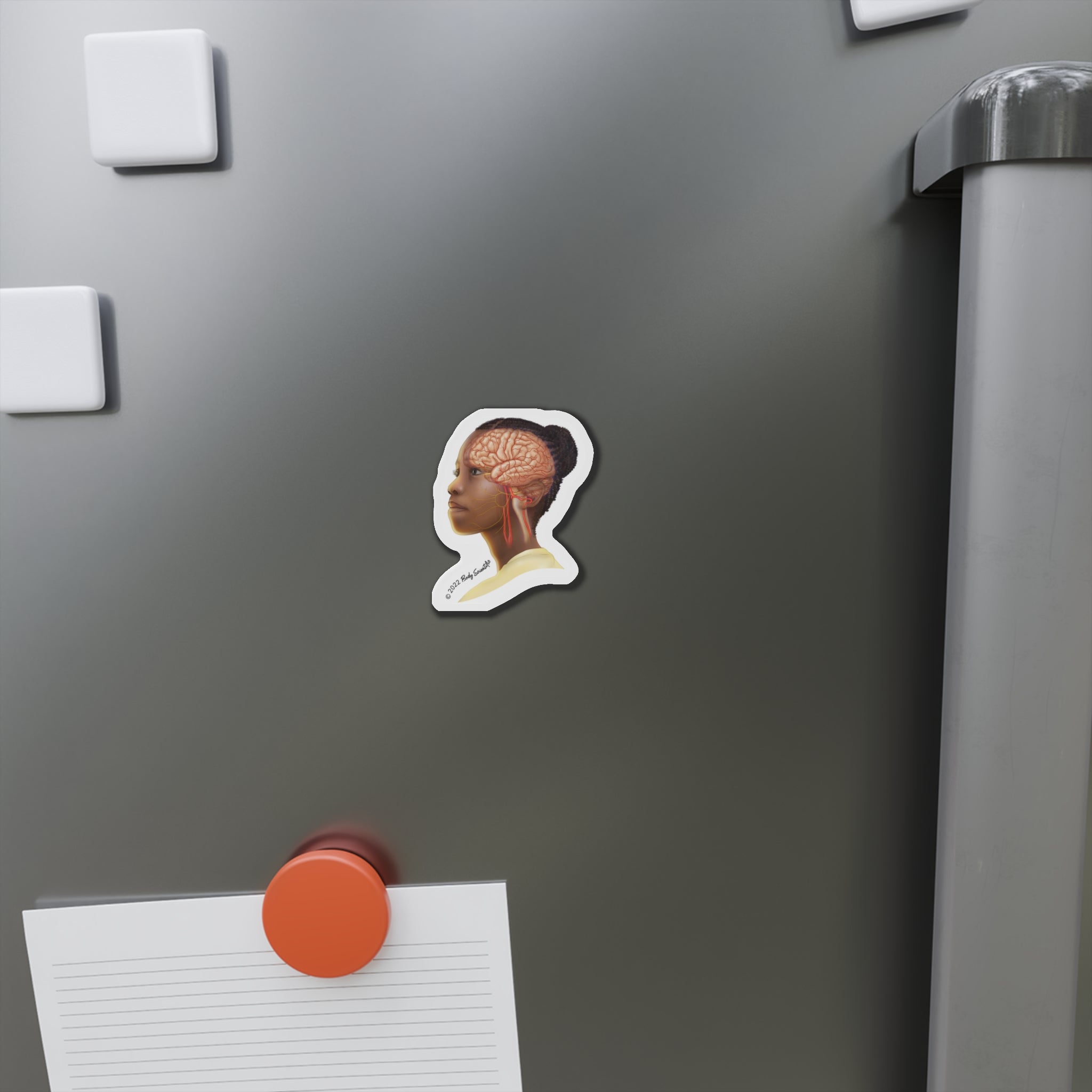 My Brain - Diecut Magnet – Body Scientific